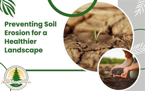 Preventing Soil Erosion Protect Your Landscape Naturally