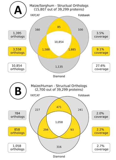 Venn Diagram Of The Fasso Annotation Confidence Labels For Download Scientific Diagram