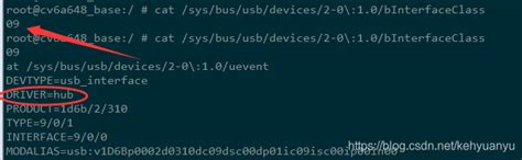 Android Usb 设备管理器lsusb 分析android Lsusb Csdn博客