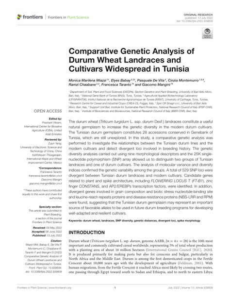 Pdf Comparative Genetic Analysis Of Durum Wheat Landraces And