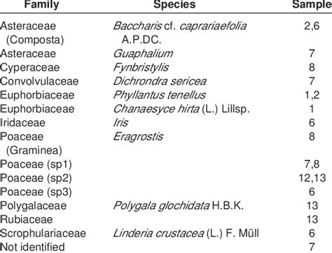 Seedling Occurrence In The Nursery Experiment Download Table