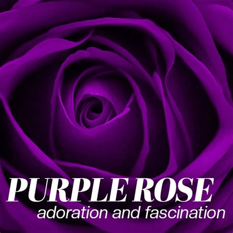 Rose Color Meanings And When To T Each Color Yourtango
