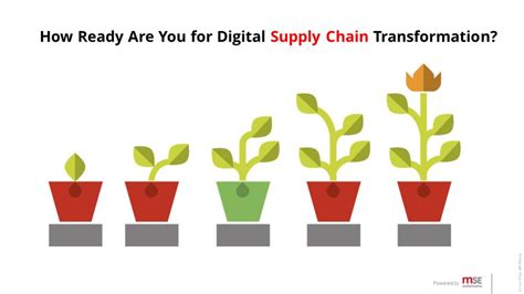 Mse Solutions On Linkedin Are You A Beginner With Siloed Activities Or