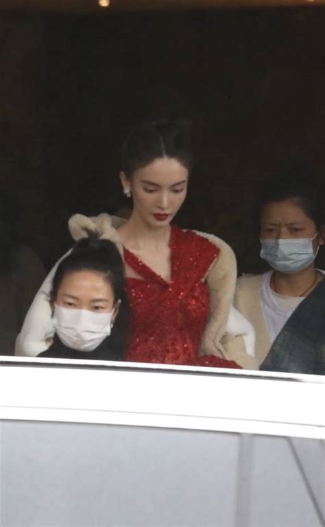 微博之夜明星上班生图惊艳毛晓彤貌美金晨太耀眼 搜狐大视野 搜狐新闻