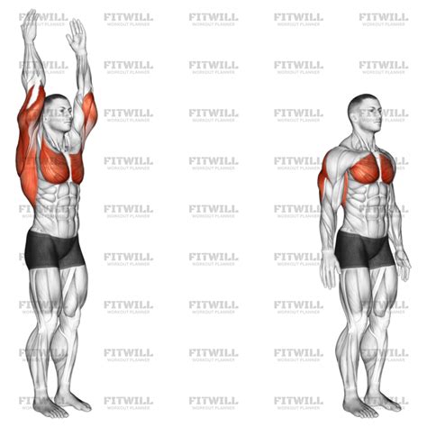 Shoulder Extension Articulations Exercise Guide Video Techniques