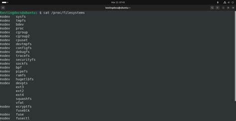 Linux Proc Directory Testingdocs