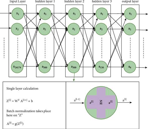 Multiclass Cancer Prediction Based On Copy Number Variation Using Deep