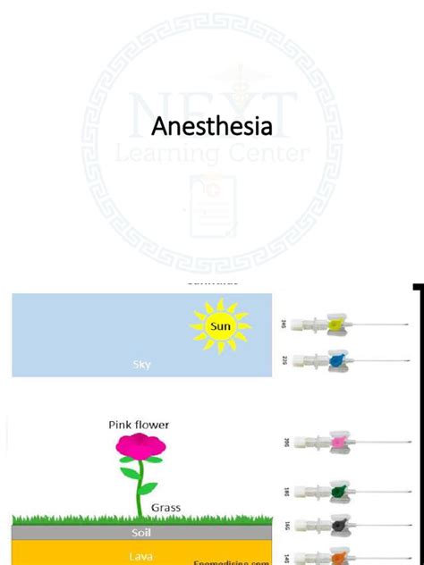 Anesthesia Question Pdf