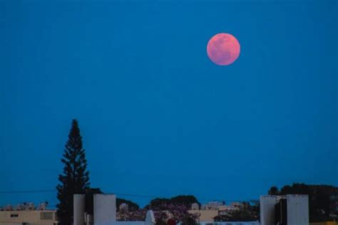 Superluna Rosa Las Mejores Imágenes Del Fenómeno Astronómico Desde