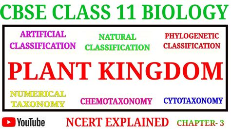 Differentiate Between Artificial Natural And Phylogenetic System Of