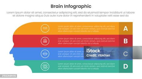 인간의 뇌 Infographic 템플릿 배너 활주 프리젠 테이션에 대 한 4 점 목록 정보 크리 에이 티브 긴 인간의 머리 배경