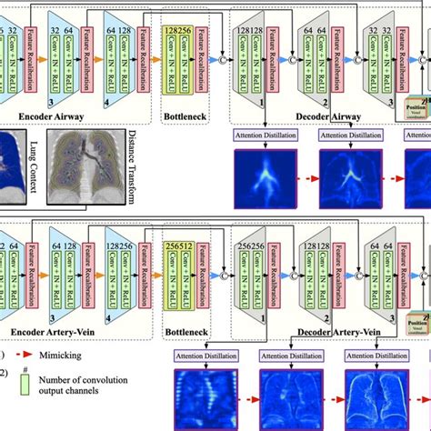 Rendering Of Pulmonary Artery Vein Segmentation Results On A Easy And