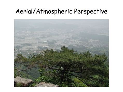 perception lecture notes depth size and shape