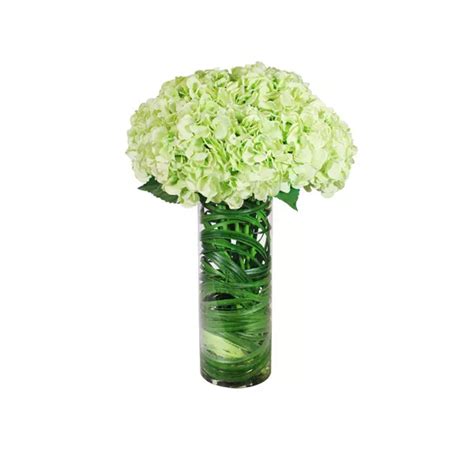 Green Hydrangea Arrangement