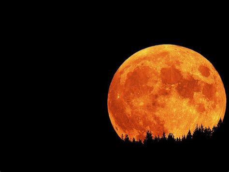 Total Lunar Eclipse Wallpaper