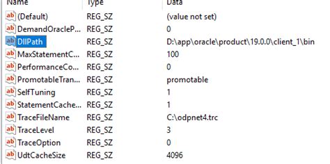 Asp Net How To Resolve Unable To Load DLL OraOps19 Dll The