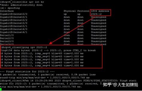 Ipv Dhcpv
