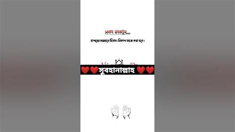 ১৪ তম রমজান Youtube