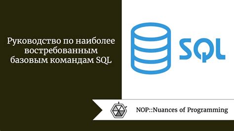 Руководство по наиболее востребованным базовым командам SQL