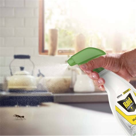 Raid Essentials Multi Insect Killer Trigger Bottle 12oz 12 Oz Shipt