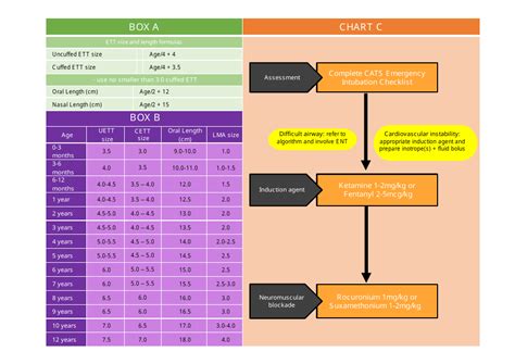Emergency Intubation Checklist Download Printable Pdf Templateroller