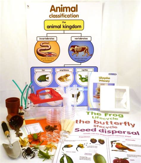Edulab Macro Science Kit Life Cycles Vitta Scientific