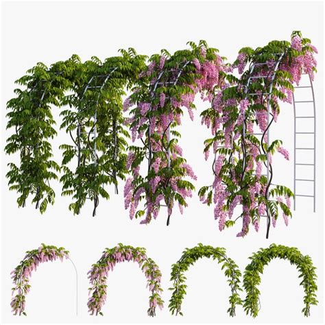 Tree SketchUp Models For Download TurboSquid