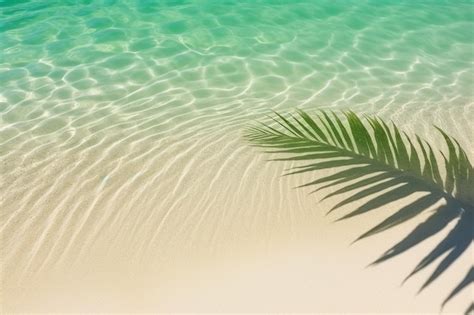 Top View Of Water Surface With Tropical Leaf Shadow On White Sand Beach