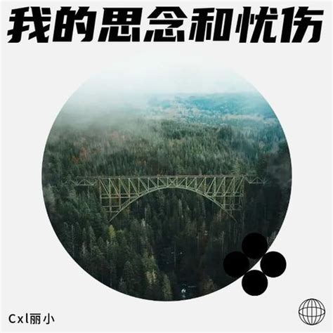 我的思念和忧伤 Cxl丽小 mp3免费在线下载播放 歌曲宝 找歌就用歌曲宝 MP3音乐高品质在线免费下载