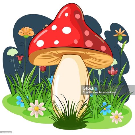 아마니타는 밤 꽃 초원의 배경에 Agaric 비행 만화 플랫 스타일 란스카페 야생화와 잔디 흰색으로 격리됩니다 아름다운 작은 숲