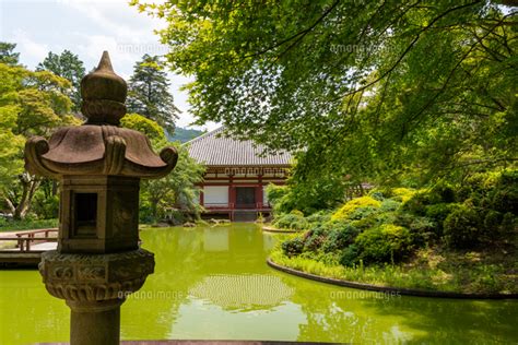 大阪府池田市にある久安寺の庭の写真素材 [fyi07532074] ストックフォトの Qlean Market