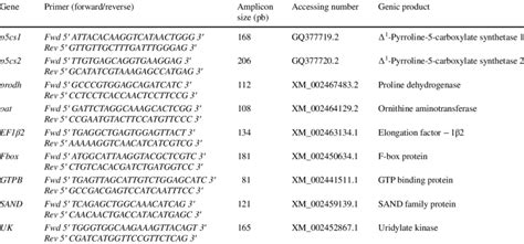 Primer Sequence Of Genes Involved In Proline Metabolism Used For Gene Download Scientific