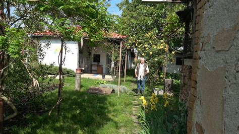 Епизод 30 За неприятелите по растенията Youtube