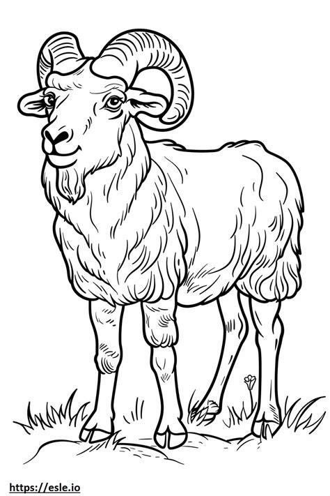Akbash Happy Coloring Page