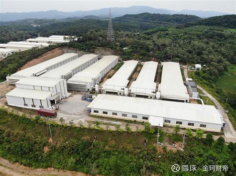 壹号食品高科技养殖，百人搞定1000万羽蛋鸡 广东三天鲜畜牧有限公司生产基地，是广州市从化区壹号蛋鸡省级现代农业产业园的核心养殖基地之一，目前