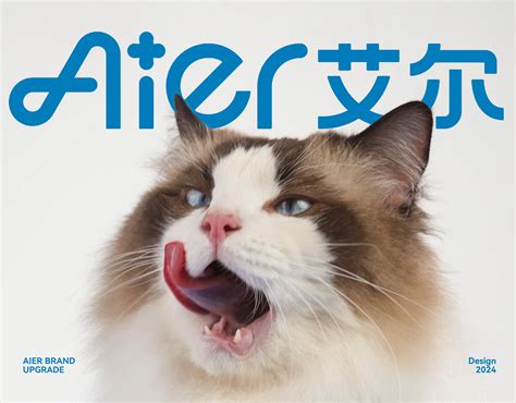 Email App Ui Ux Design Behance