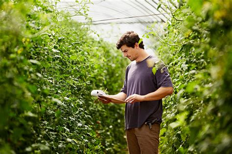 En todo el campo mexicano siempre hay un Ingeniero Agrónomo Noticias
