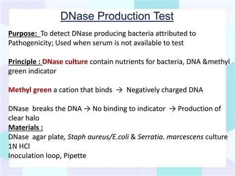 Biochemical Tests And Serological Tests For Bacterial Disease Diagnosis
