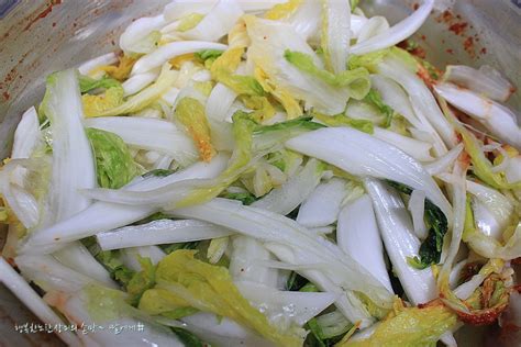 배추겉절이 만드는법 딸에게 절임배추로