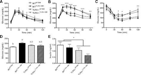 A Hematopoietic Cell Tlr4 Deficiency Does Not Influence Systemic