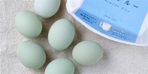 24時間放牧養鶏卵＜アローカナの産む幸せの青い卵・下田ブルー＞nhkで紹介！オメガ3が普通の4倍！ Farm1987 たべるとくらすと