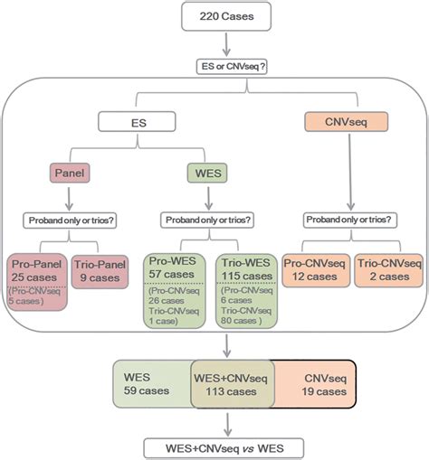 The Combination Of Whole‐exome Sequencing And Copy Number Variation