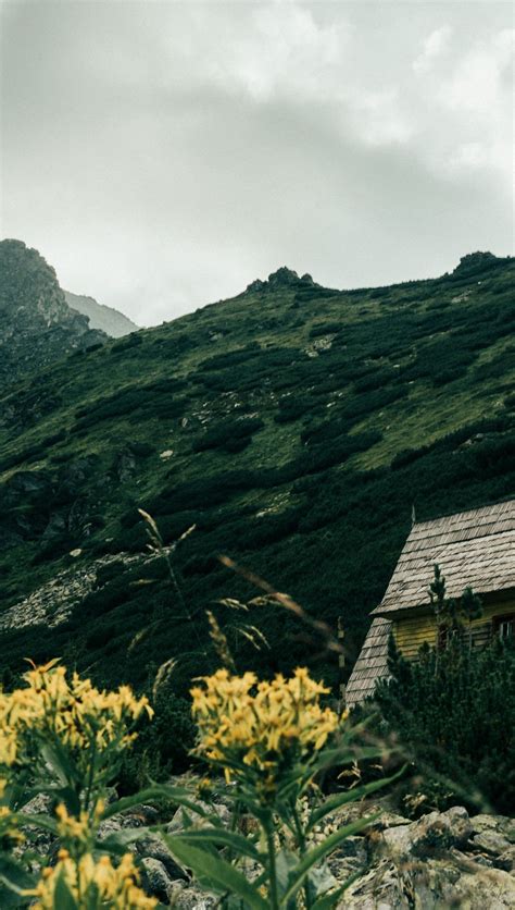 Casa En Medio Del Bosque En Día Nublado Fondo De Pantalla 4k Hd Id6069