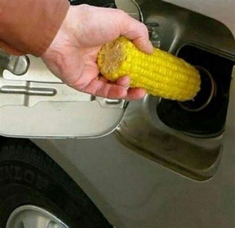 This Group Is All About Sharing “cursed Images” And Heres 34 Of The