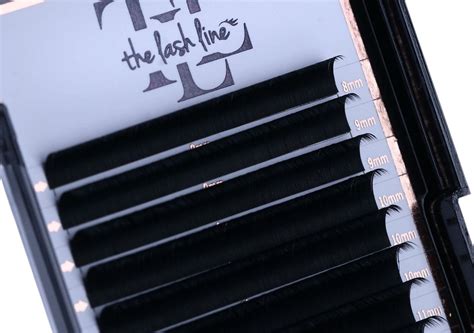 Fast Fanning Lashes The Lash Line