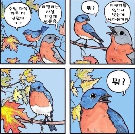 원스톡 워렌버핏 가치투자