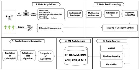 Remote Sensing Free Full Text Predicting Canopy Chlorophyll Content In Sugarcane Crops Using
