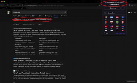 a detailed appraisal of the proton vpn linux client r protonvpn