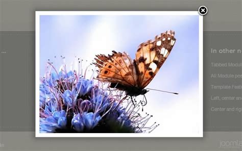 Adding Fancy Box To A Zen Grid Framework Template Joomlabamboo Blog