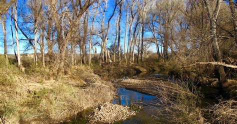 Hill And Dale San Pedro Riparian Area